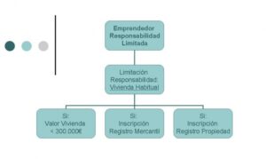 Emprendedor de responsabilidad limitada características